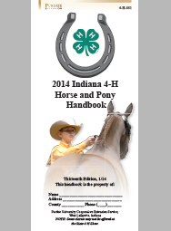 The Education Store - Horses